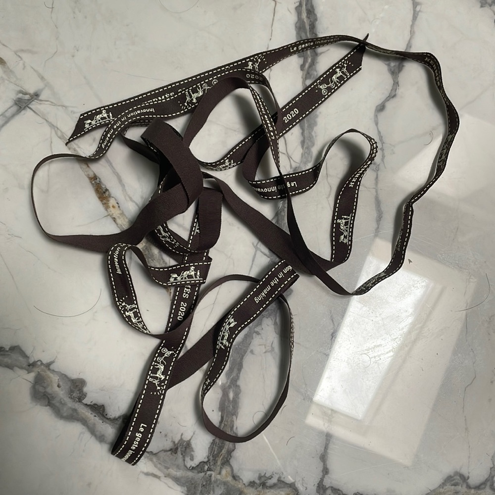 Hermes 2020 Ribbon ( Limited Edition) 95” Long - Gem